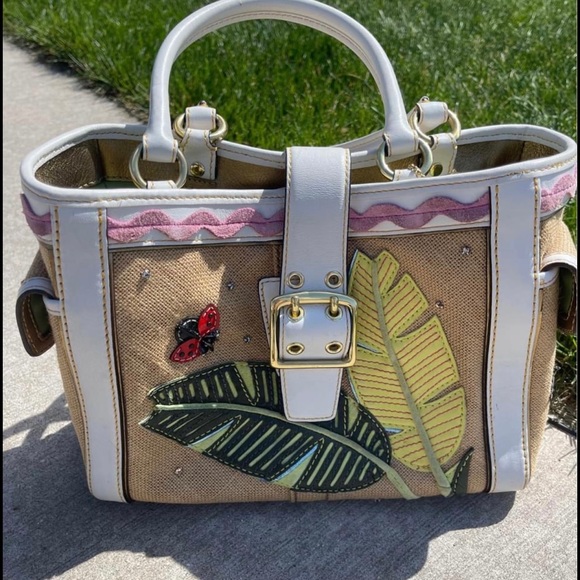 Coach | Bags | Authentic Limited Edition Coach Ladybug Bag | Poshmark